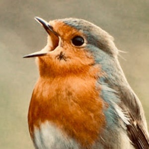 Coastal Wildflower Field Landscape Painting, Summer Landscape, Vintage ...