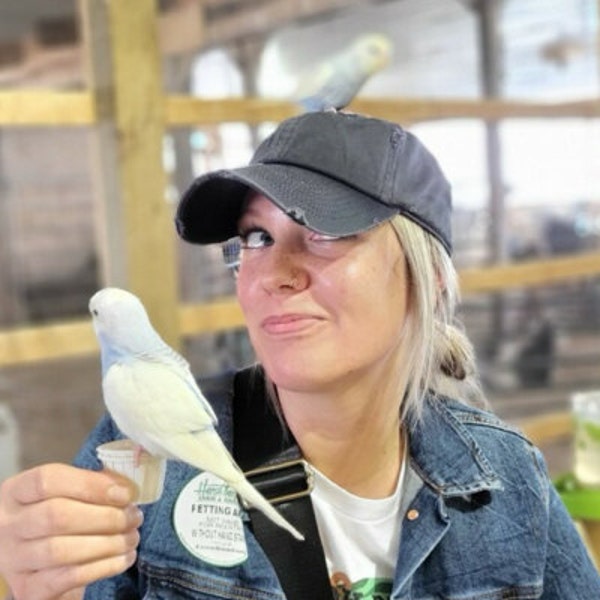 Boot Scootin Boogie Shirt, Cowboy Boots Tshirt, Rodeo Shirt, Western ...