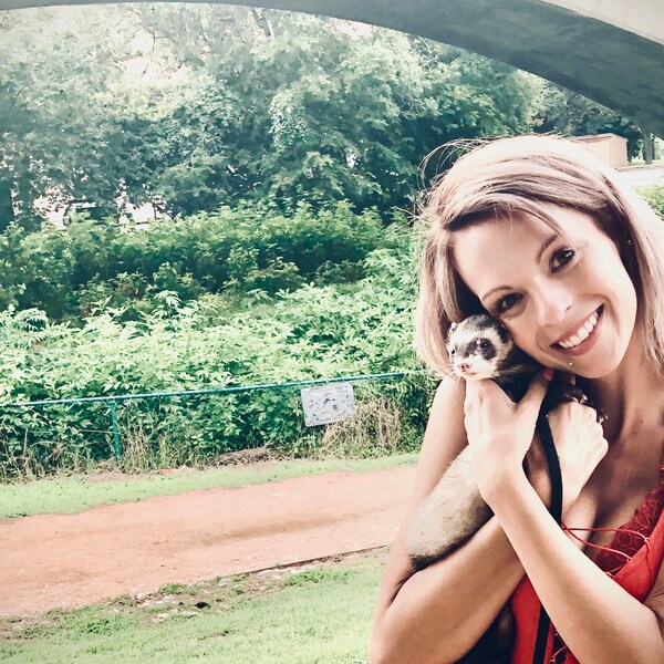 Angel Wings, Pet Memorial Stuffed Animal Accessory, Stuffy Doll Plushie ...