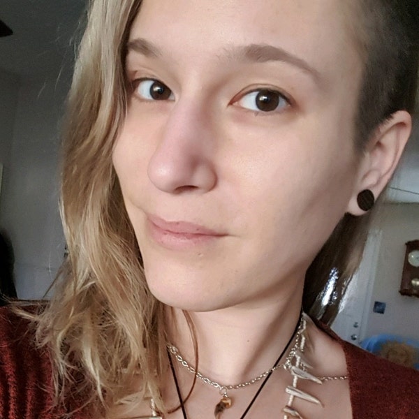 Real Dried Sand Sifting Sea Star Preserved Spiny Starfish Display ...