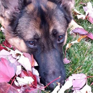 Coworker Gift, COMPUTER MOUSE SOAP, Office Gag Gift, Computer Guy Geek ...