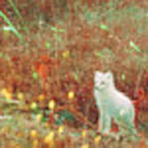 Funny Accountant Excel Pun Coffee Mug, I Budgeted I Balked, Spreadsheet ...