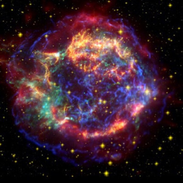 Cuddle Moose, PDF Crochet Pattern ONLY Digital Item - Etsy