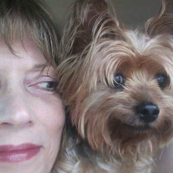 Turris Shell / Indian Turrid 2.5 3.5 Shells for Crafting Wedding Decor ...