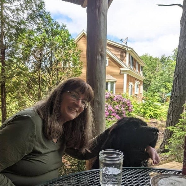 Red Tailed Hawk Digital Images for Instant Download Wildlife ...