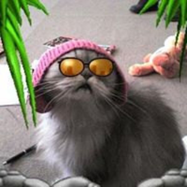 Rigid Heddle Loom Plans, 20 Page Step-by-step Instruction Manual, 35 ...