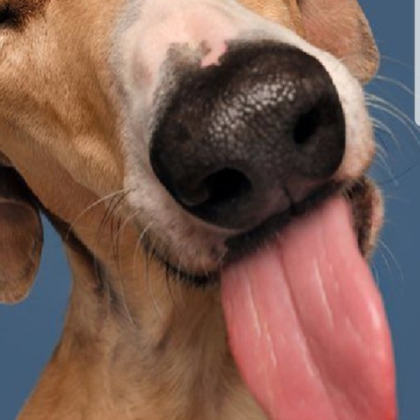 Butterick 6574 Girl Pattern Size 12-14 Uncut and in Brand New Condition ...