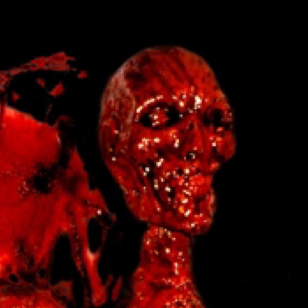 The Dummy Horror VHS Screamtime Films NEW and Sealed - Etsy