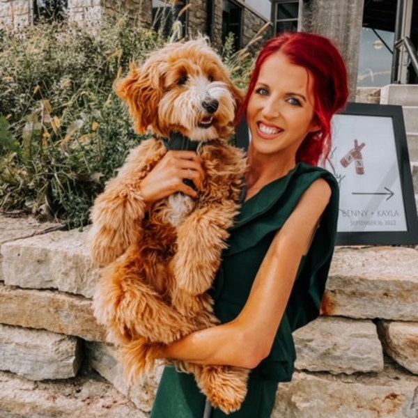 Boho TROPICS Classroom Calendar editable Features - Etsy