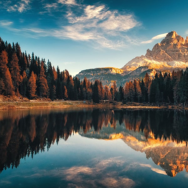 Bat Ear-making Printable Pattern Pack 2-in-1 - Etsy