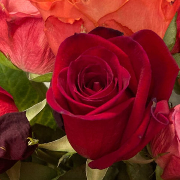 Robot Clipart Robots Clip Art, Gears, Nuts, Bolts, Robot Digital Papers ...