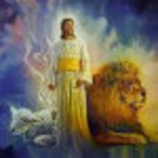 Giraffe SVG Cute Baby Giraffe Outline Cut File Cricut Silhouette Jungle ...