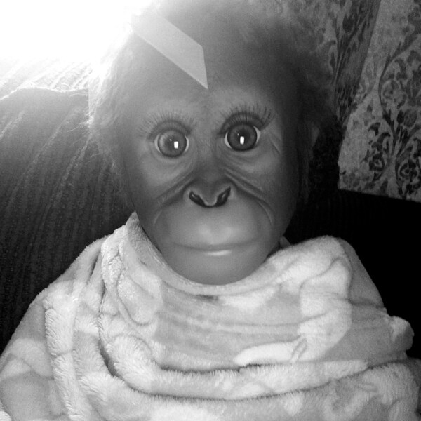 Two Monkeys Hugging, Sterling Silver Ring, Animal Ring, Monkeys Lover ...