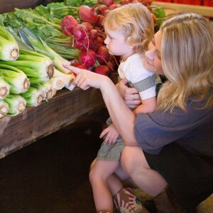 Farm Animal Unit BUNDLE, Nature Study, Math, Language Arts, Handwriting ...