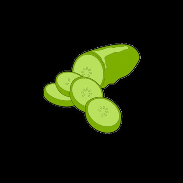 texasparadisepickles - Etsy