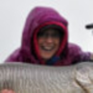 Window Box, Beginner PDF Quilt Pattern, Strip Pieced Quilt, Quick ...