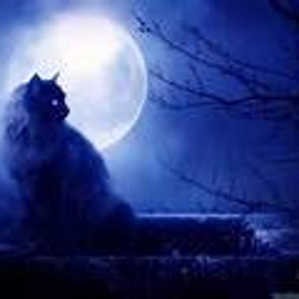 Printable Spell Journal - Etsy