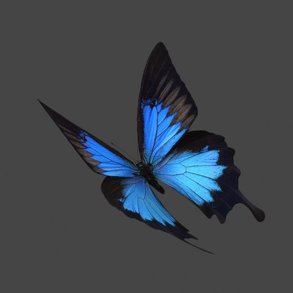 Agate Slice Occo Geode Agate Slices Highest Special A Quality RK36B14 ...