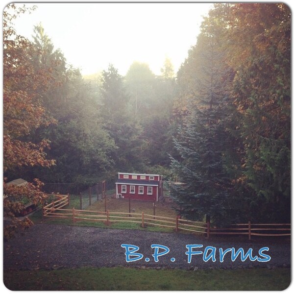 BPFarms - Etsy