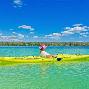 White Screw Shells 3-8cm Unicorn Horns Spiral Shell Beach Wedding ...