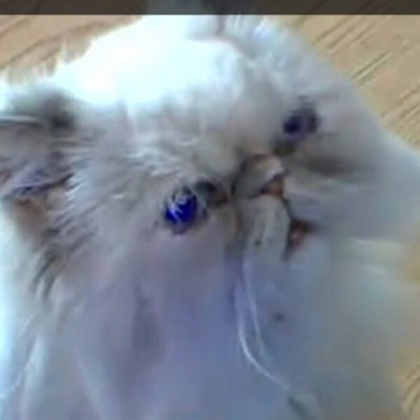 Printable Stationary Digital Download Coloring Letter Writing Myka ...