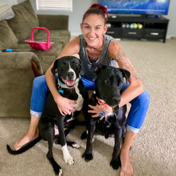 Editable Cow Print Binder Covers and Spines Farmhouse Classroom Decor ...