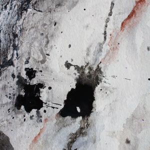 The Wild Muse Oracle Deck & Guidebook indie Oracle Deck vanessa ...