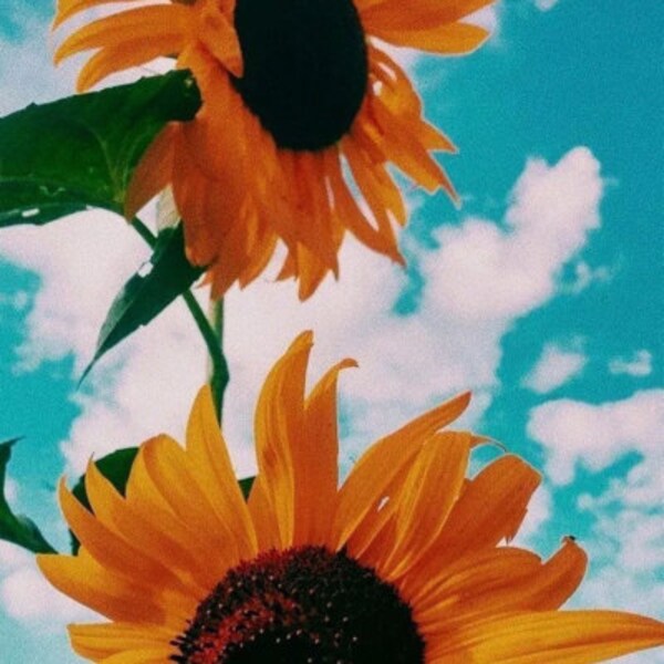 Retro Daily Slides Templates Retro Theme Happy Face Boho Classroom ...