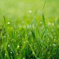 DewyTreasures - Etsy