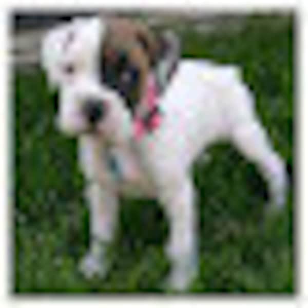 Ball Box Set/ Diy Craft/ Template PDF STUDIO SVG/ Low Poly/ Papercraft ...