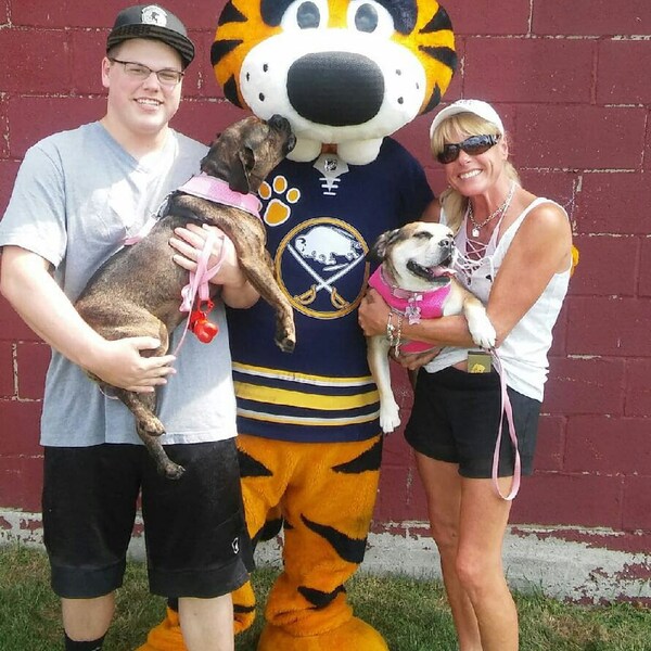 Diaper Military Tank Diaper Cake Boy Diaper Cake Girl Diaper Cake Baby ...