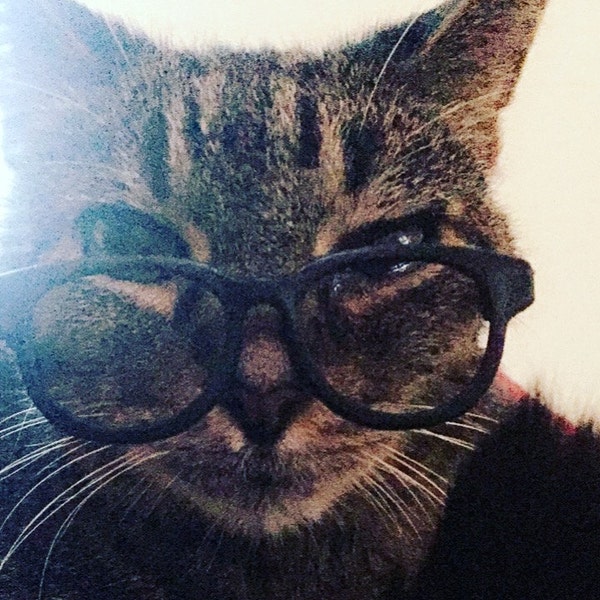 Ready-to-use Vtuber PFP High-quality PNG Avatar Perfect Profile Picture ...