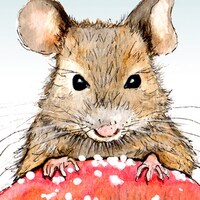 CathWard - Etsy UK