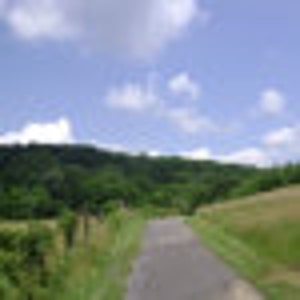 The Witchy Homestead - Etsy