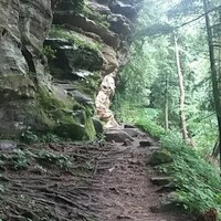 Laser Cut Godzilla With Interior Design - Etsy Canada