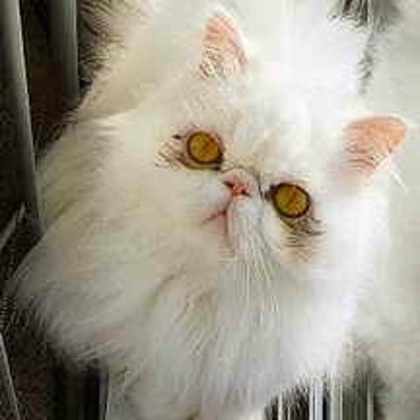 JOY Large Letters Outdoor Christmas Holiday Yard Art Sign - Etsy