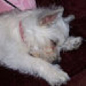 Long Multi Gemstone Gold Filled Necklace With Tourmaline Briolette - Etsy