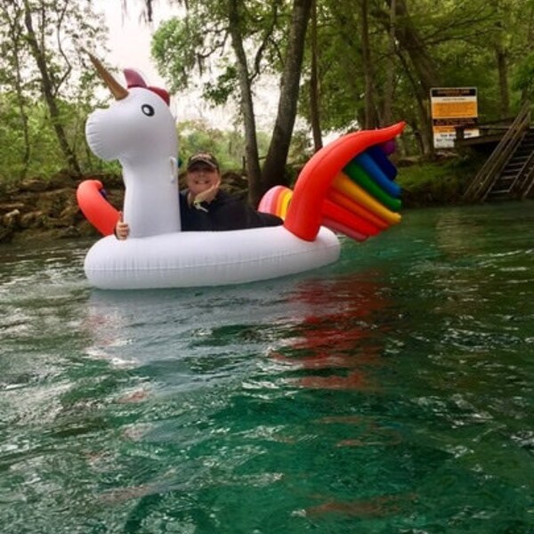 Anatomical Heart Sticker, Real Heart Illustration Decal, Waterproof ...