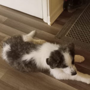 Walk by Faith Not by Sight Wreath Sign, Metal Wreath Sign, Signs for ...