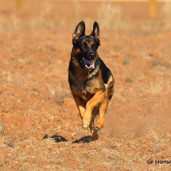 Aluminum Diamond Plate 2 X 2 48 Long Corner Wall Guard Angle 0500107 - Etsy