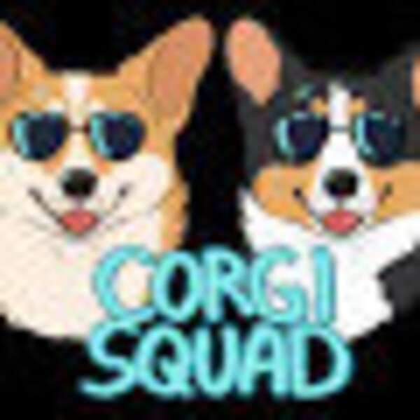 Black Flak Vest Only - Etsy