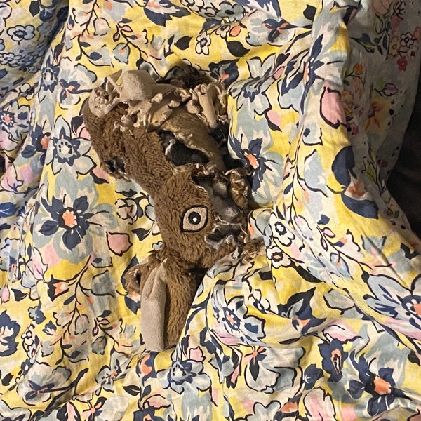 Letting Go Forgiveness Printable Interactive Worksheet Journal Inserts ...