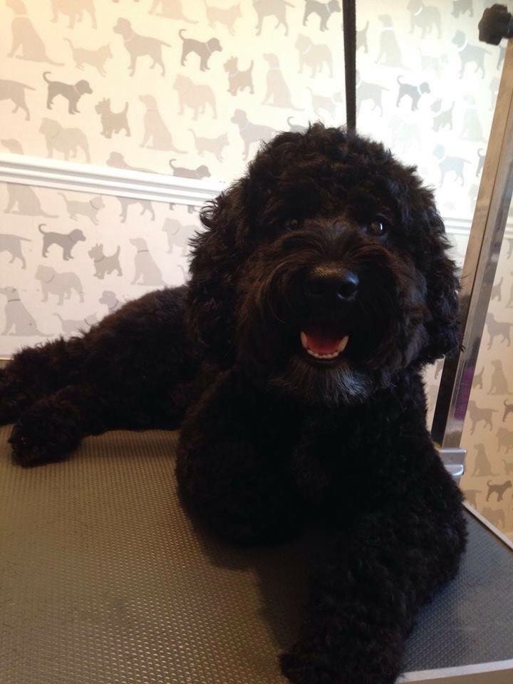 EarthsReTreats - Etsy