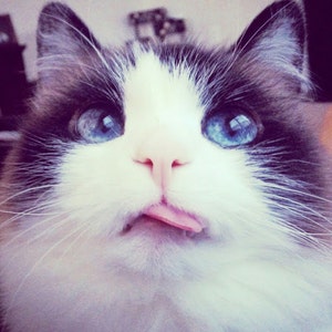 Point Lookout Lighthouse, Maryland. Haunted Civil War House in Snow ...