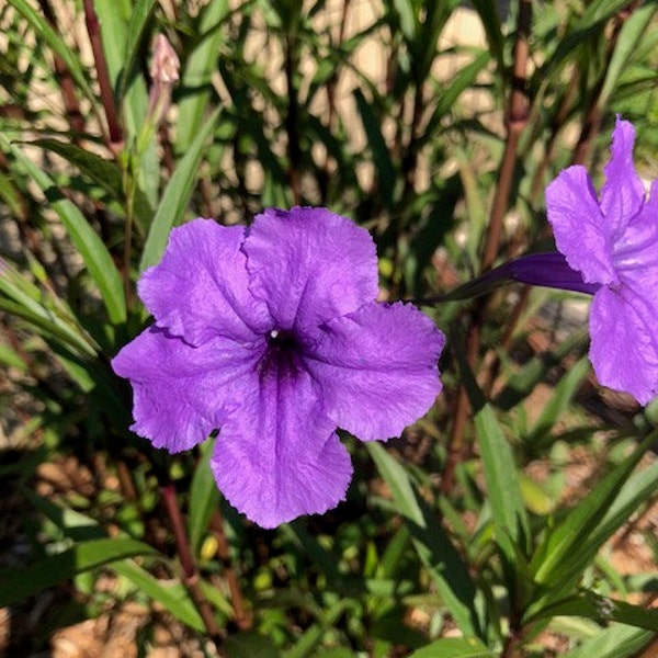 Elephant Patchwork Composition Notebook Cover - Etsy