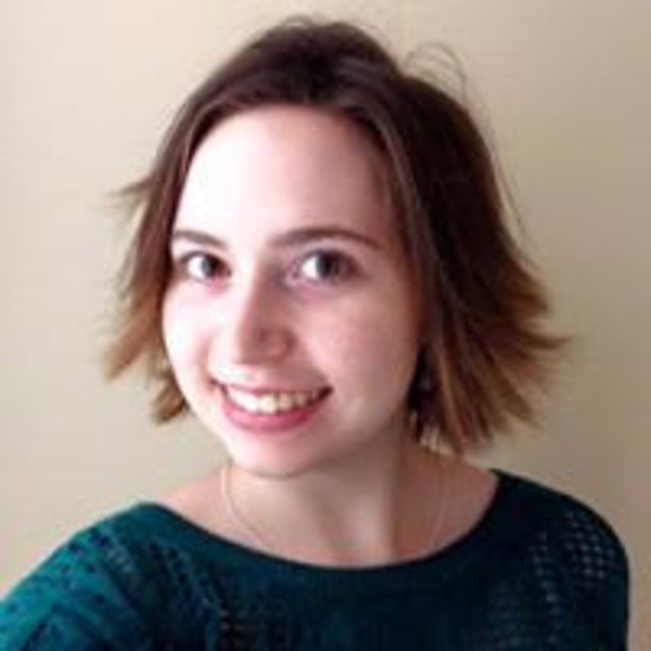 Chicken Wing Cat Toy - Etsy