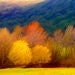 HoffnerArt - Etsy