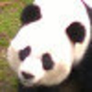 Ducky Comp PCB Build Your Own Vintage Dyna Comp Compressor - Etsy