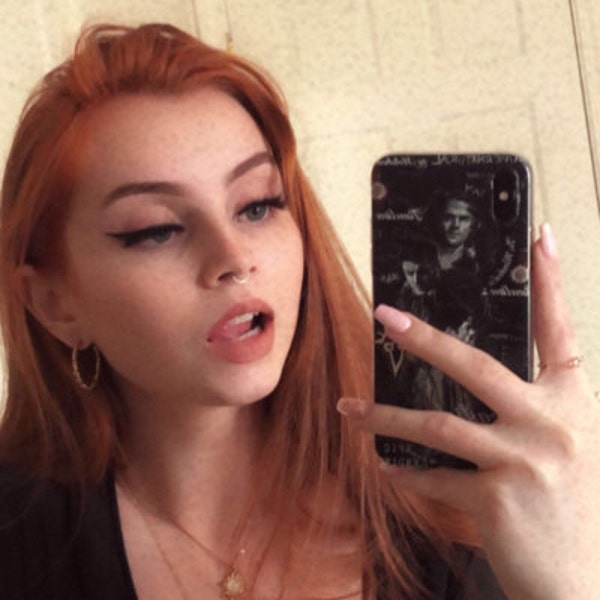 Bronze Metallic Scarab Horned Beetle Real Insect Bug Taxidermy Craft ...