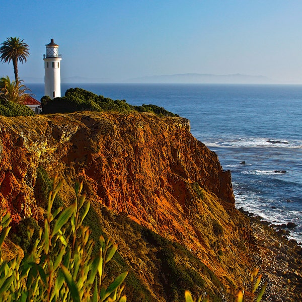 Elotitos Mexicanos/ Elotes Mexican Sweet Bread/ Traditional Mexican ...